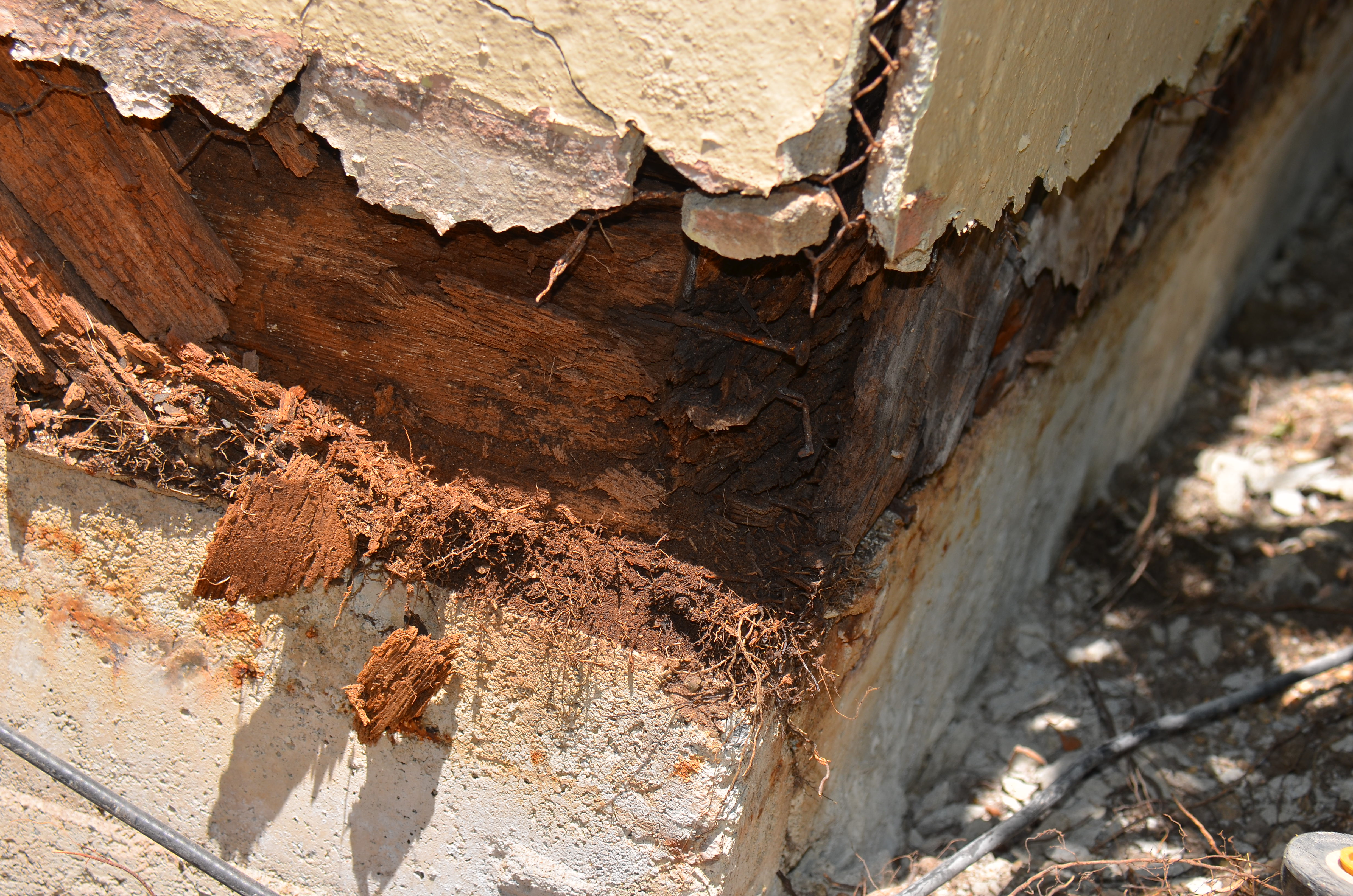 The Maintenance and Repair Strategy – Home Preservation Manual